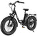 Hiboy EX6 Step-thru Fat Tire Electric Bike for traveling – CAHIBOY